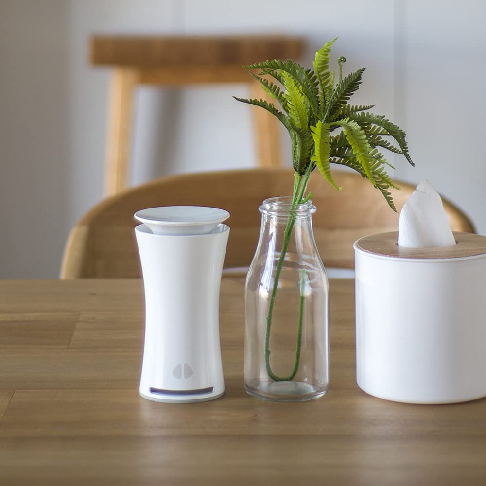 The Best Air Quality Sensors For Your Home – Small Sweet Home